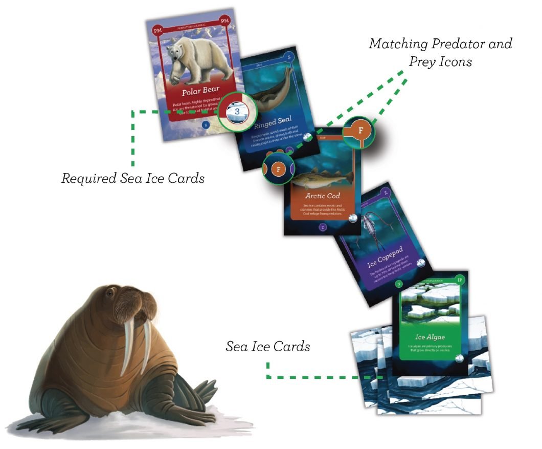 EcoChains: A Food Web Game to Teach Climate Change - Learning Theories